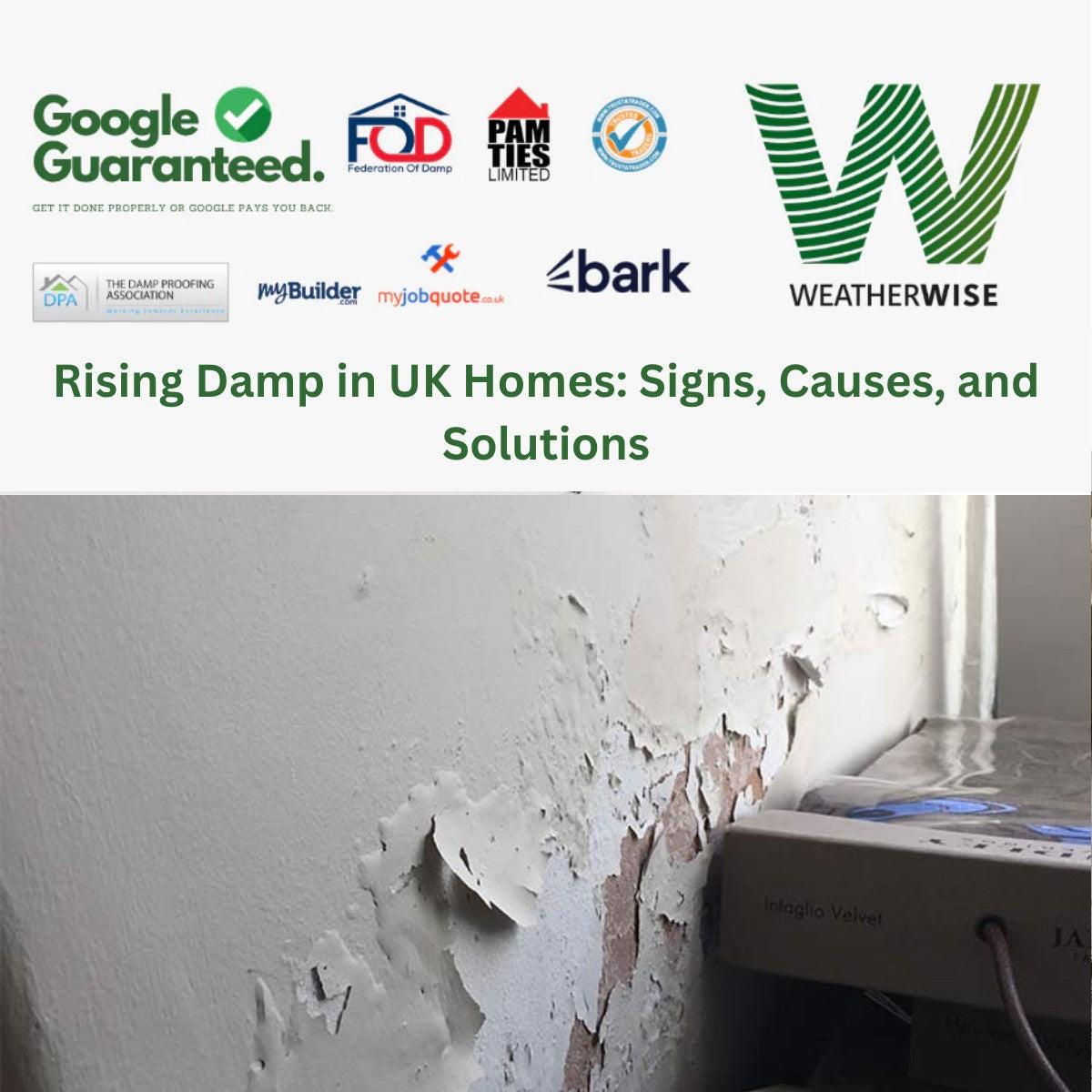 Rising Damp in UK Homes: Signs, Causes, and Solutions