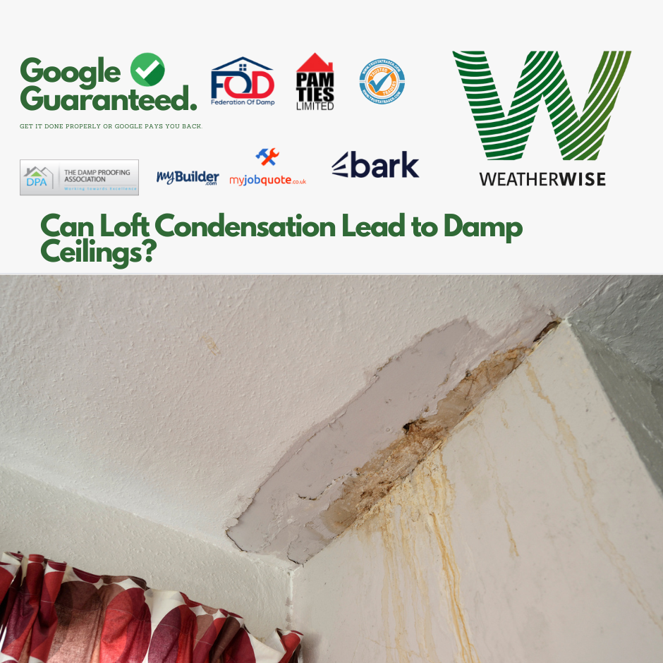Can Loft Condensation Lead to Damp Ceilings?