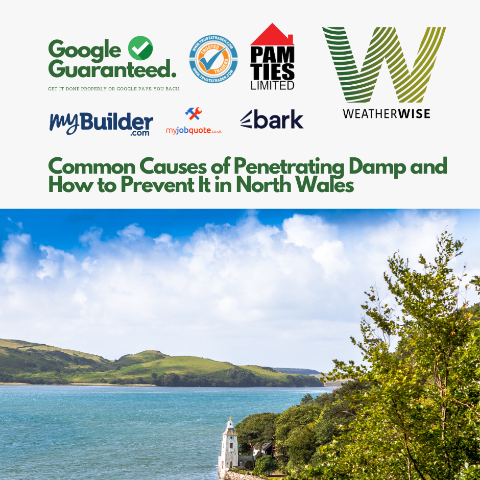 Causes of Penetrating Damp and How to Prevent It in North Wales