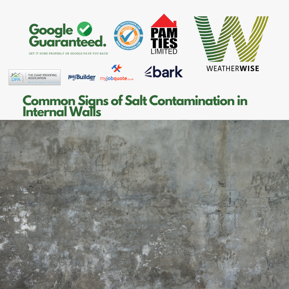 Common Signs of Salt Contamination in Internal Walls