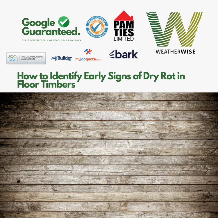 How to Identify Early Signs of Dry Rot in Floor Timbers