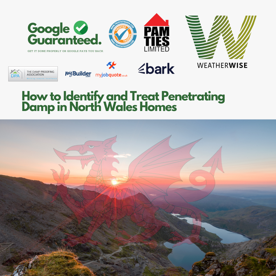 How to Identify and Treat Penetrating Damp in North Wales Homes