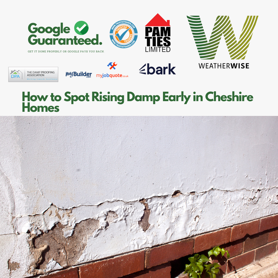 How to Spot Rising Damp Early in Cheshire Homes