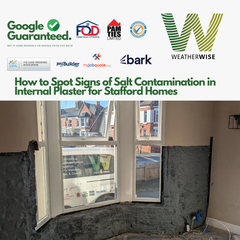 How to Spot Signs of Salt Contamination in Internal Plaster for Staffo