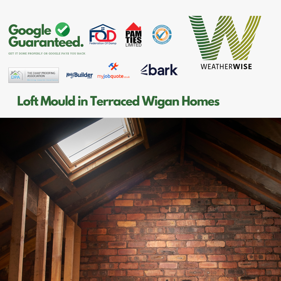 Damp & Mould Specialists | Products | Weather Wise UK