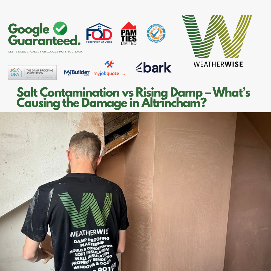 Salt Contamination vs Rising Damp – What’s Causing the Damage in Altri