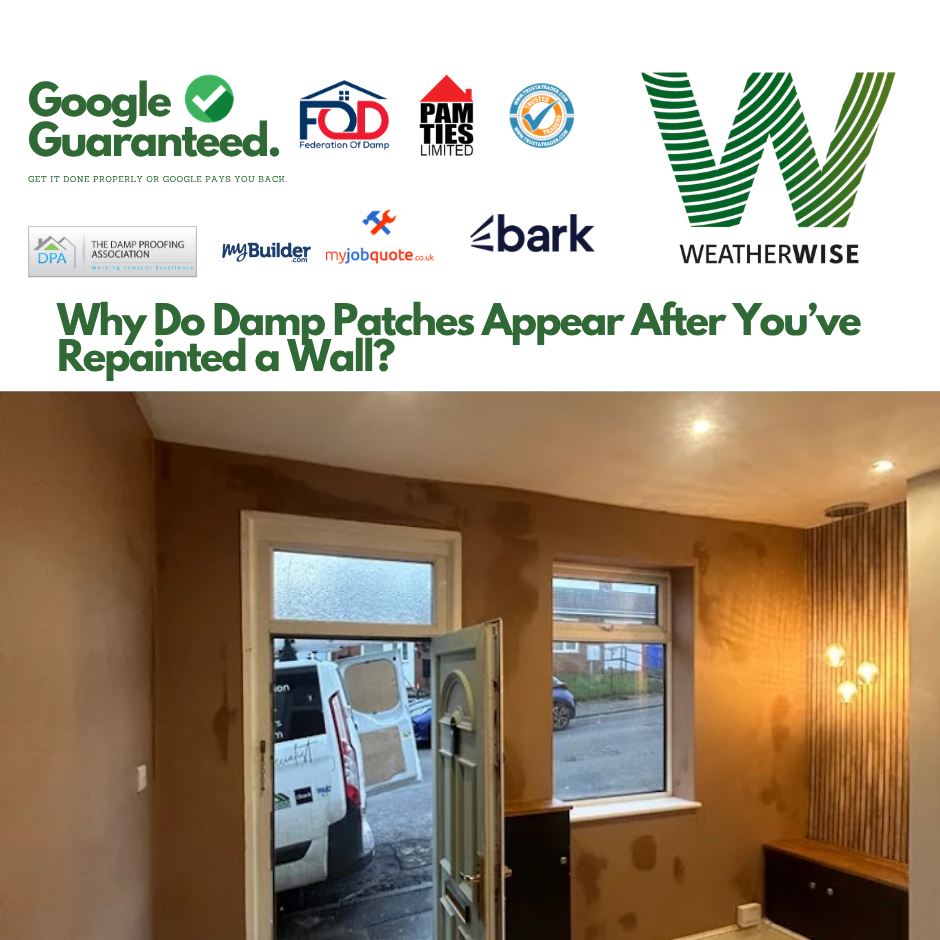 Why Do Damp Patches Appear After You’ve Repainted a Wall?